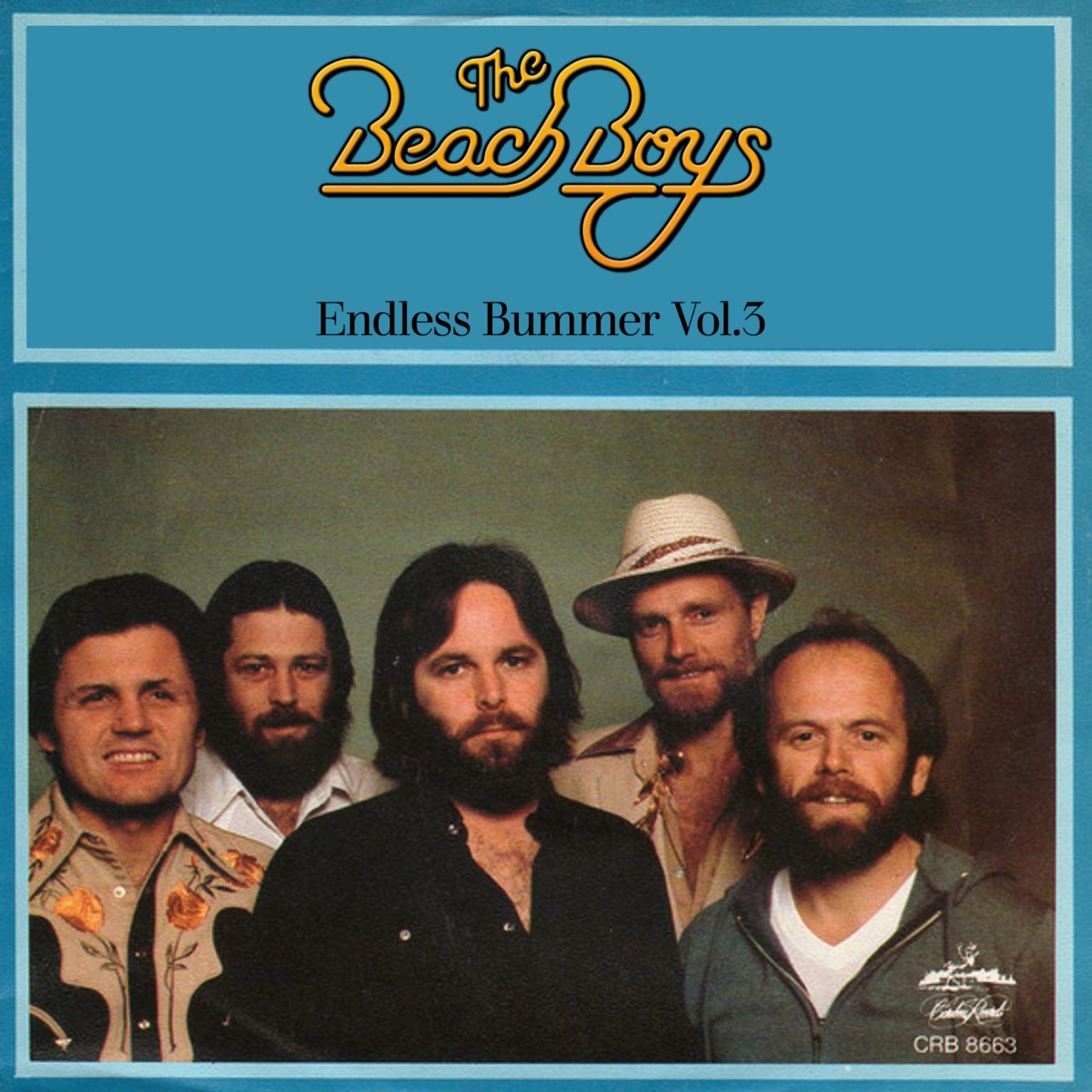 The Beach Boys – Endless Bummer Vol.3 – The Squire Presents